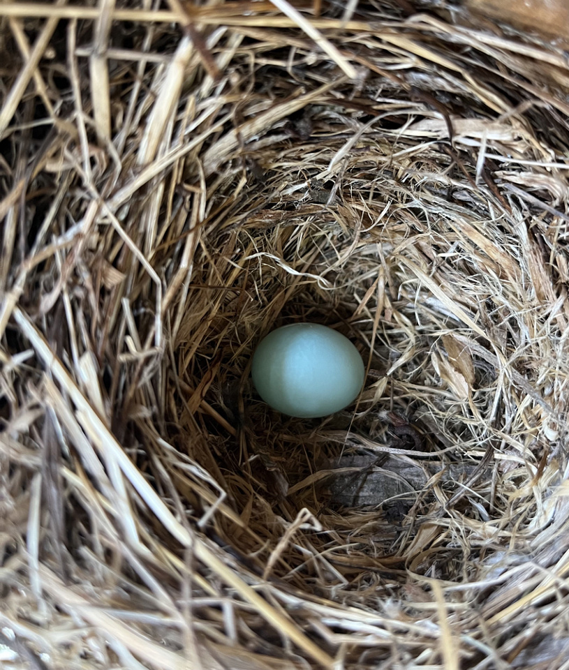 First there was One | dbifulco | Blipfoto