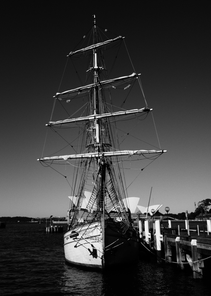 The Soren Larsen at Campbells Cove | PelorusJack | Blipfoto