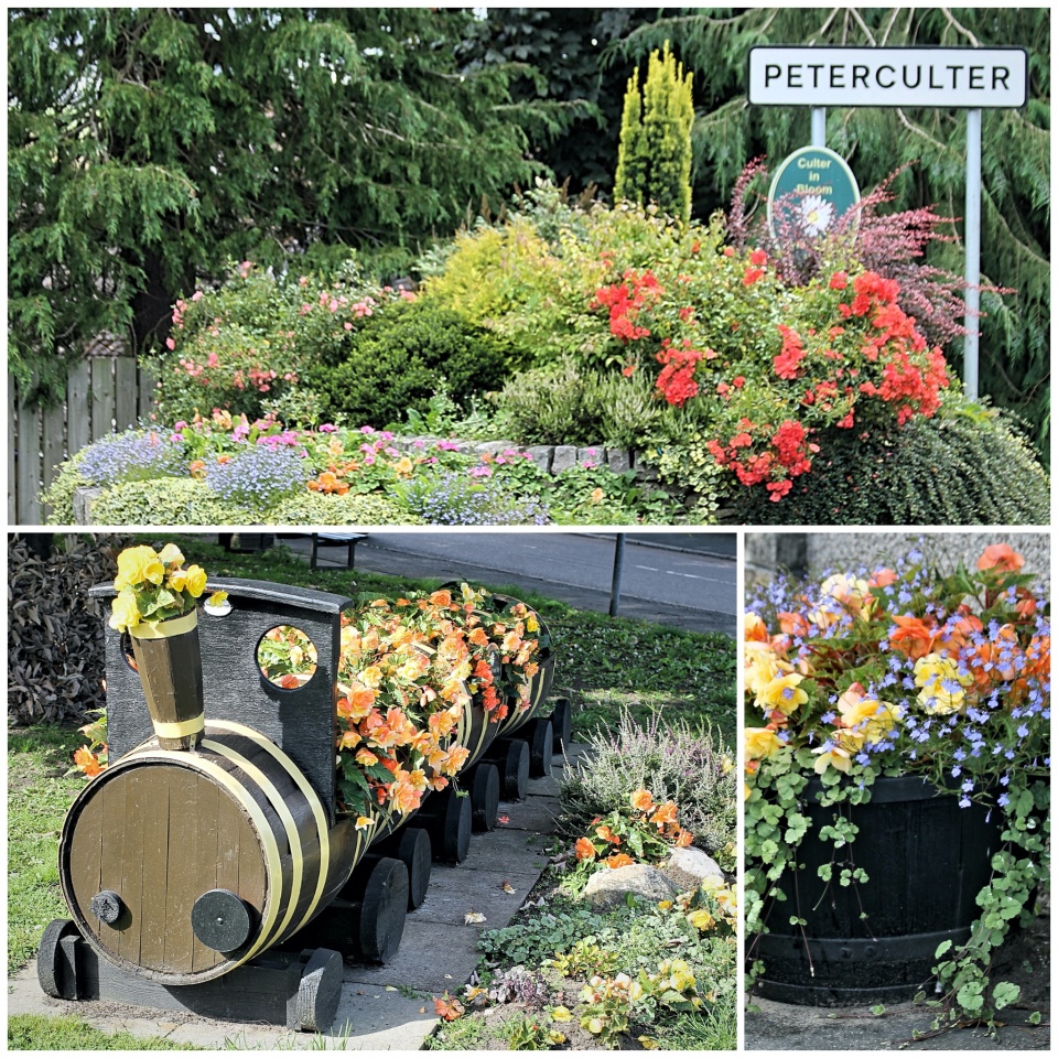 PeterCulter in Bloom 2023 | GM4EMX | Blipfoto