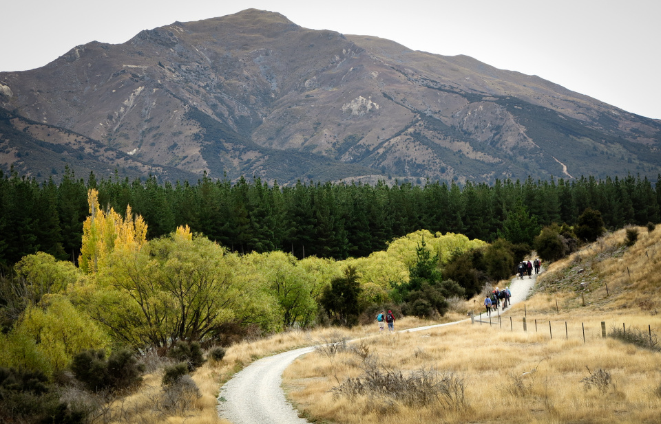 Autumn Dayz : The Road Ahead | acyclinggranny | Blipfoto