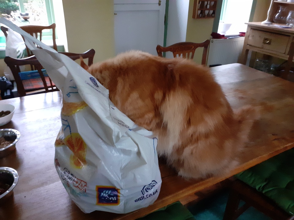 Just checking | Freuchie | Blipfoto