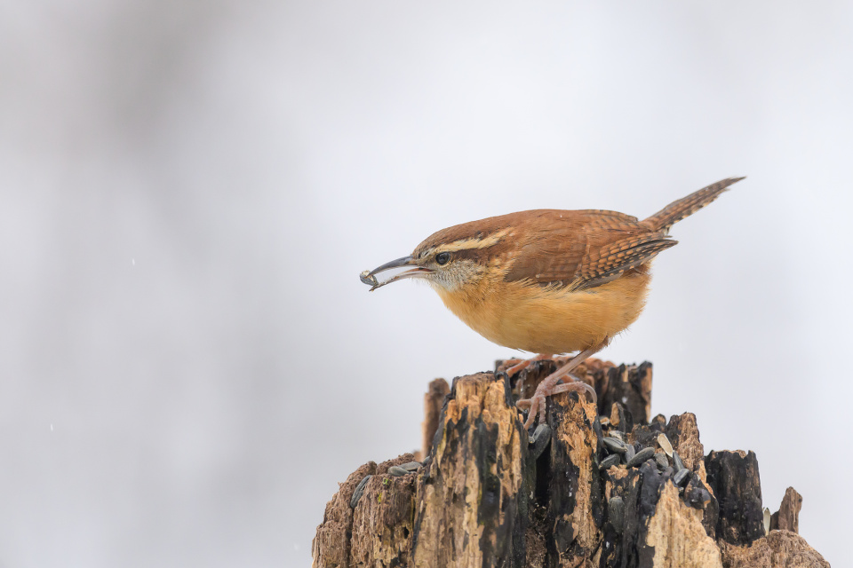 Tiny Bundle of Cute | dbifulco | Blipfoto