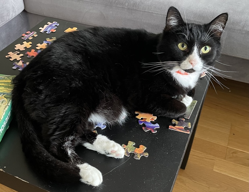 Typical! | MissRAble | Blipfoto