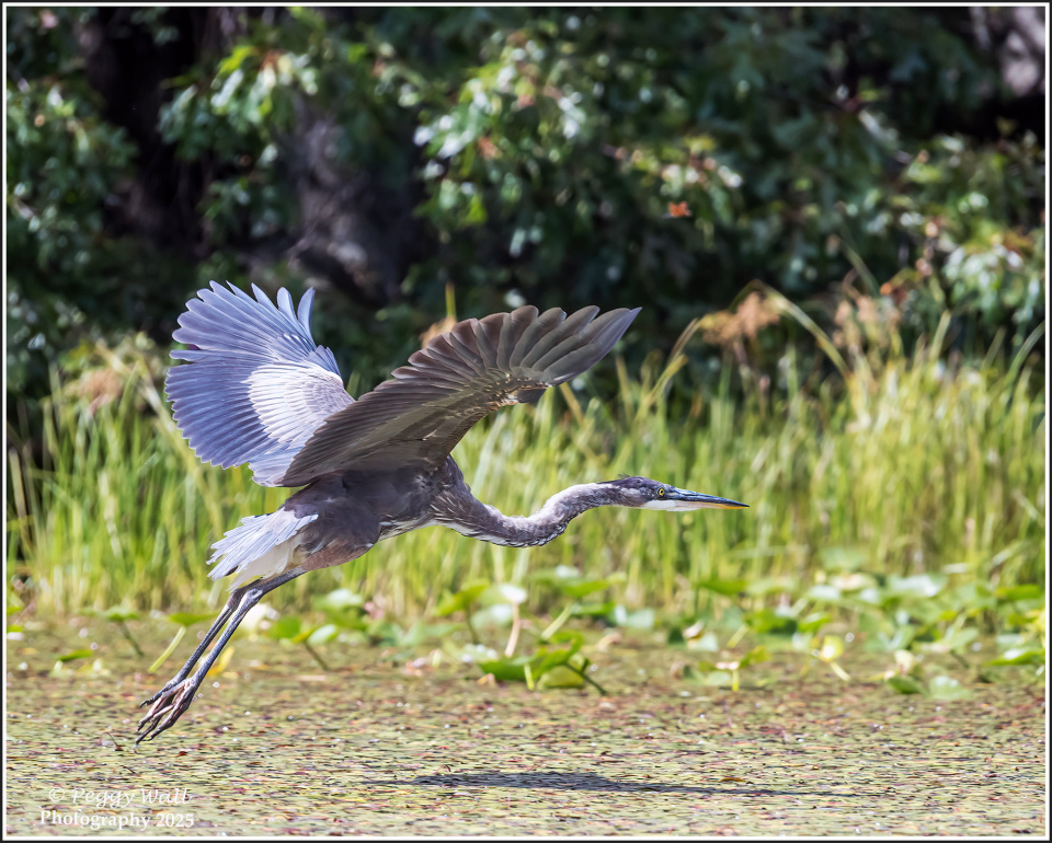 Sunday ... | KangaZu | Blipfoto