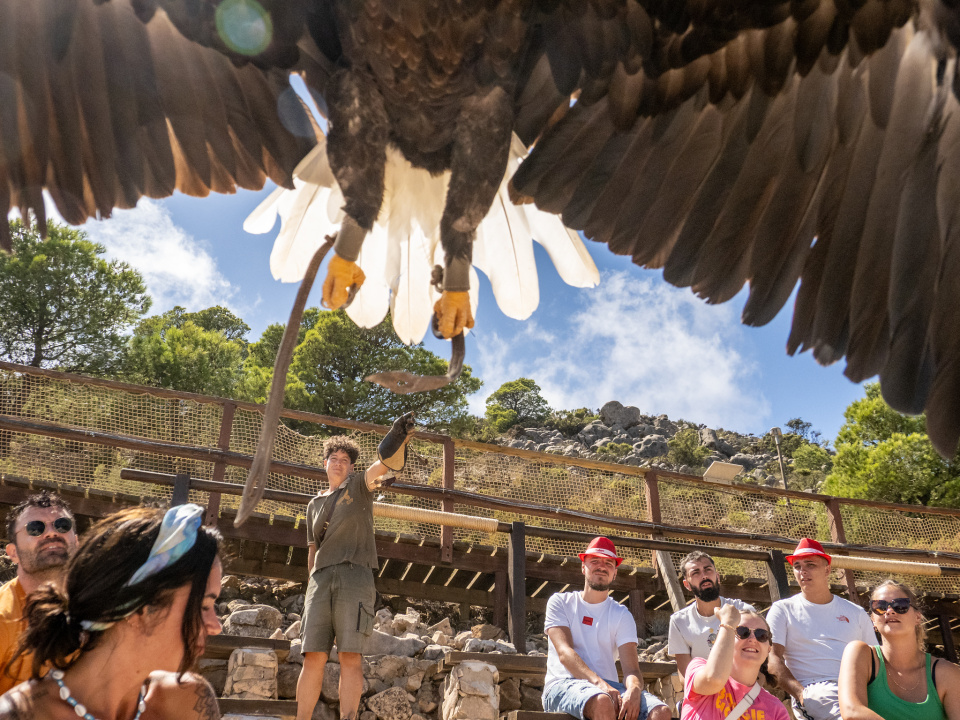 Spain Day 4 | AH14 | Blipfoto