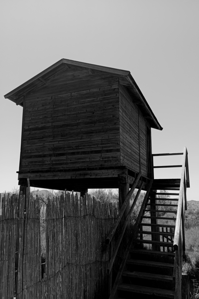 Pajaros | middleman | Blipfoto