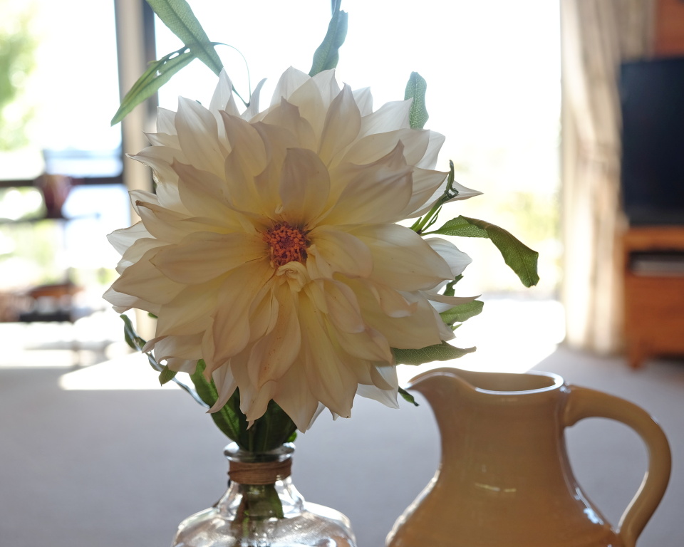 Hello Sunshine . . . Bruce Springsteen | V1k1 | Blipfoto