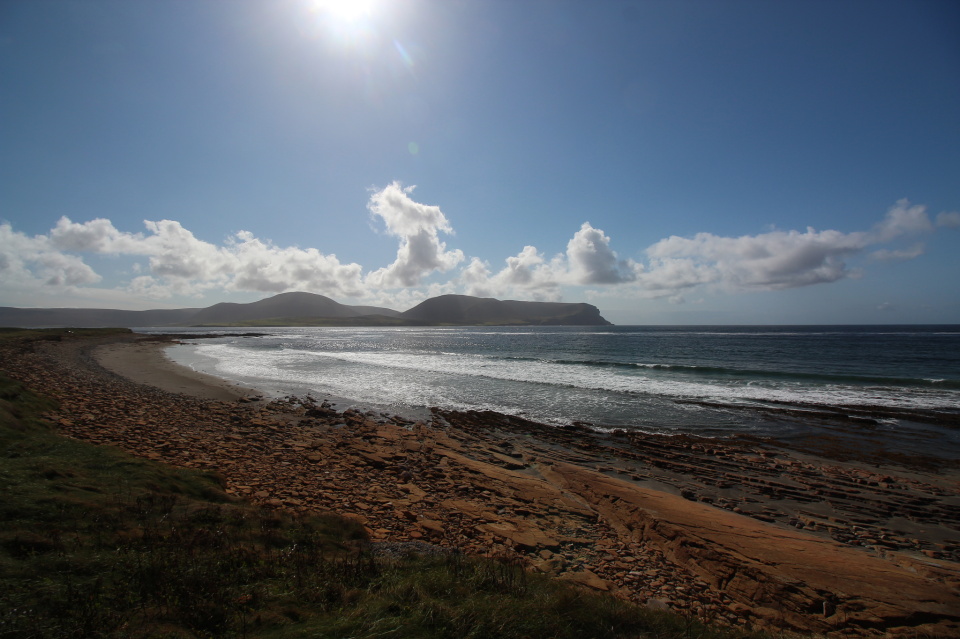 Warebeth (Day 1216) | PorridgeWog | Blipfoto