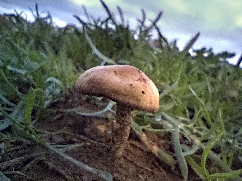 Tiny | ajt | Blipfoto