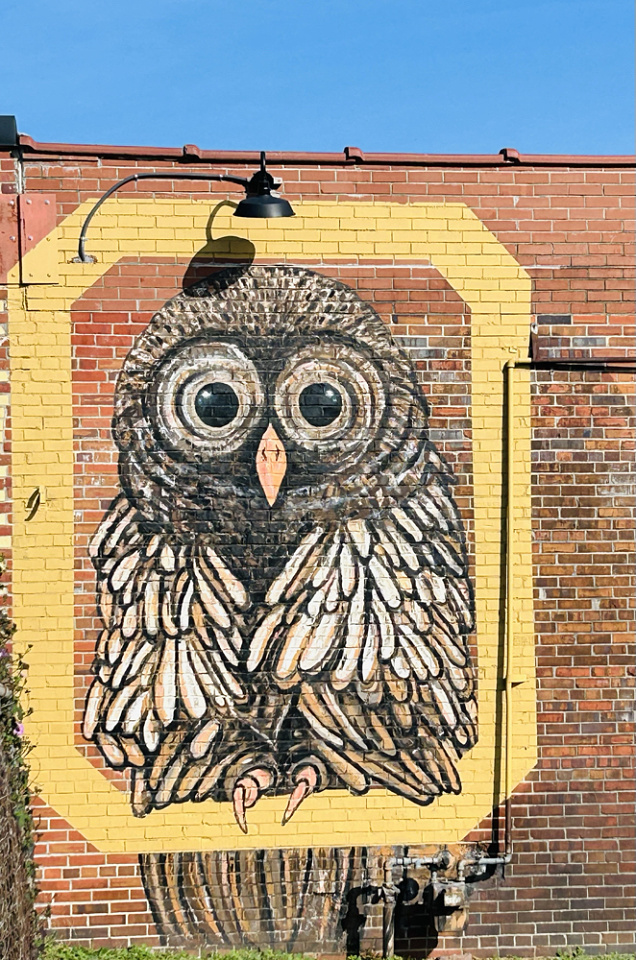 Whoooooo? | Doingok | Blipfoto