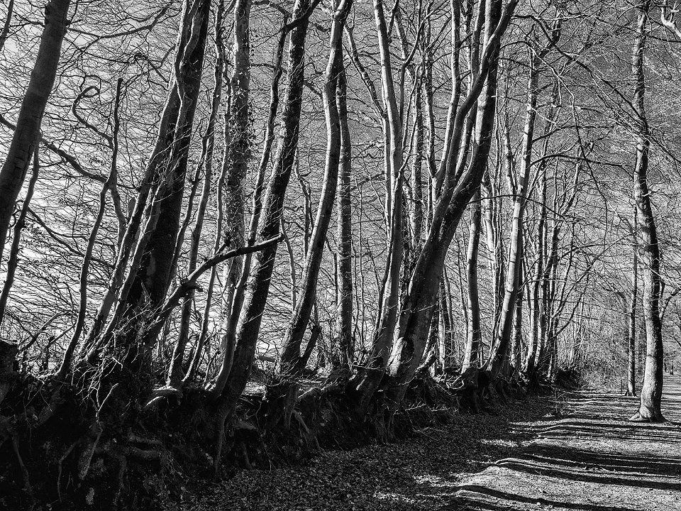 Super sunshine | suejay50 | Blipfoto