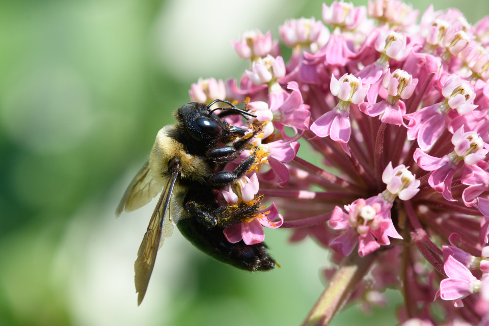 Every Day, Something New | dbifulco | Blipfoto