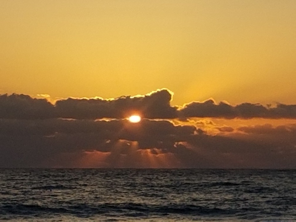 Too busy for a haiku! | LauriesPictos | Blipfoto