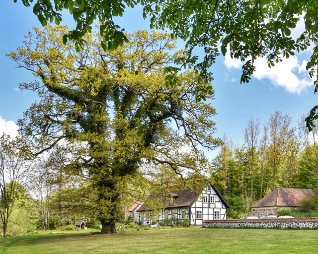 House under a tree | Howu | Blipfoto