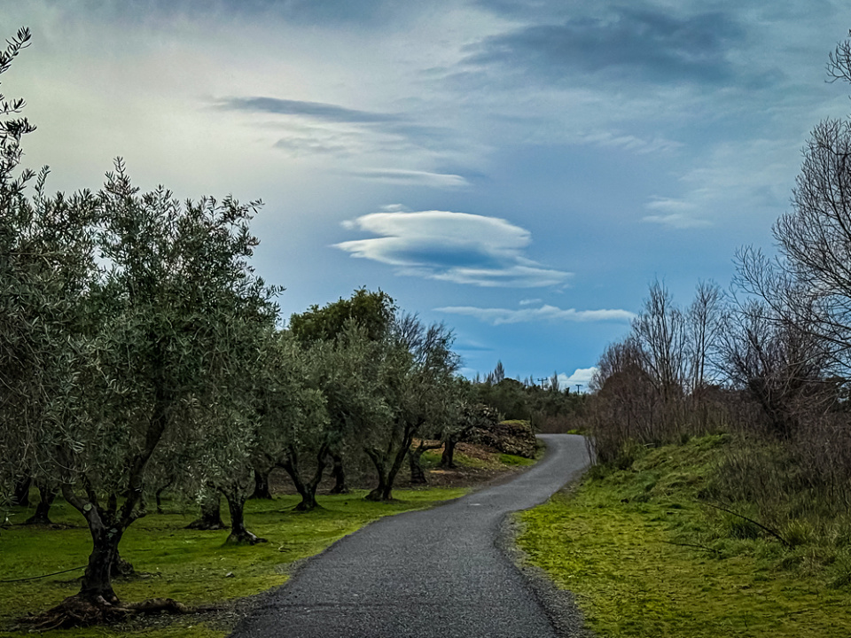 After the Rain….. | Lizimagiz | Blipfoto