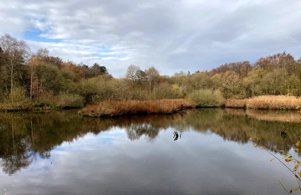 Golden Acre | mambo | Blipfoto