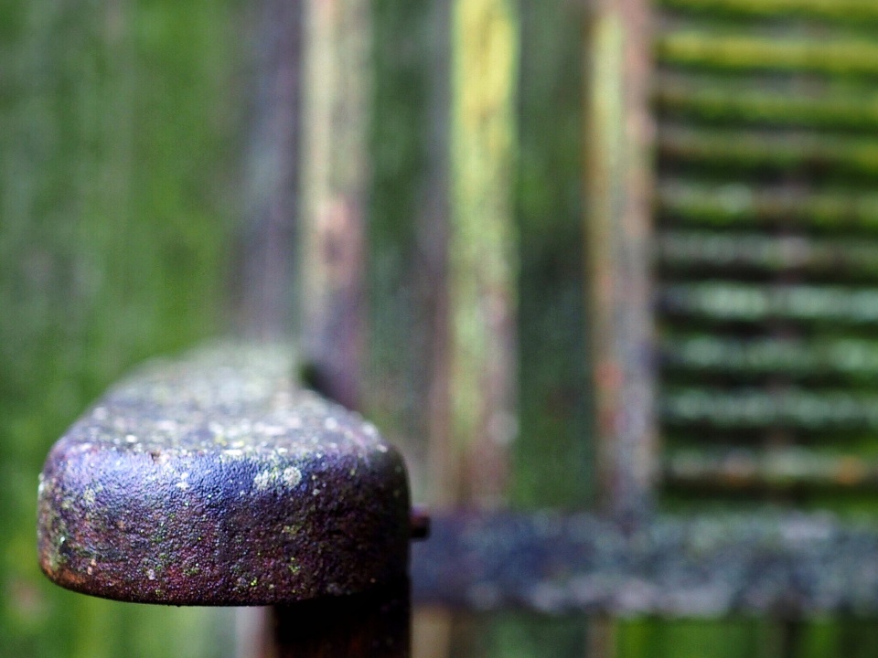 Bench. | Cherryflapjack | Blipfoto