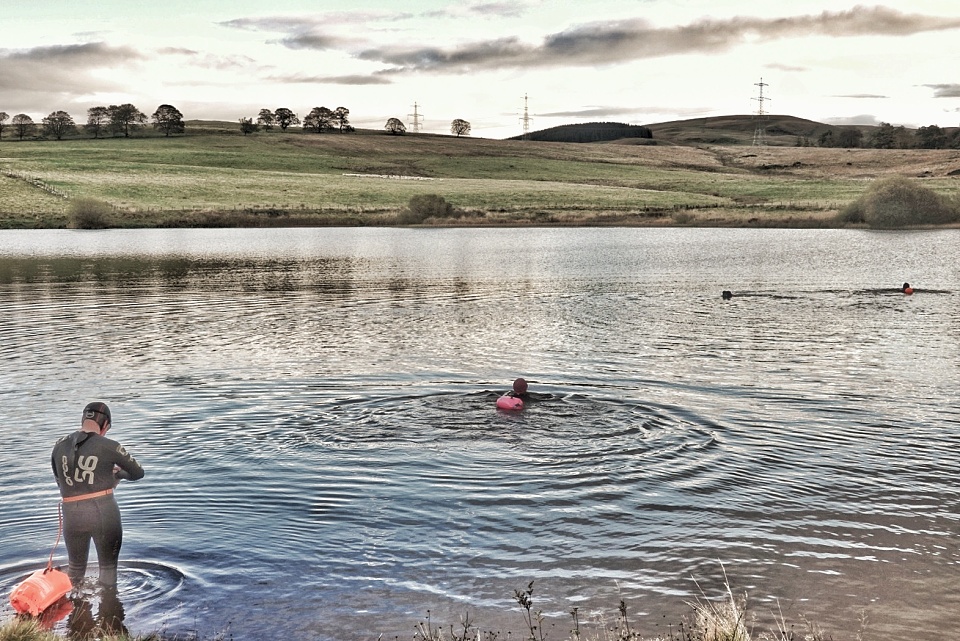 Pendreich | Tweedy | Blipfoto