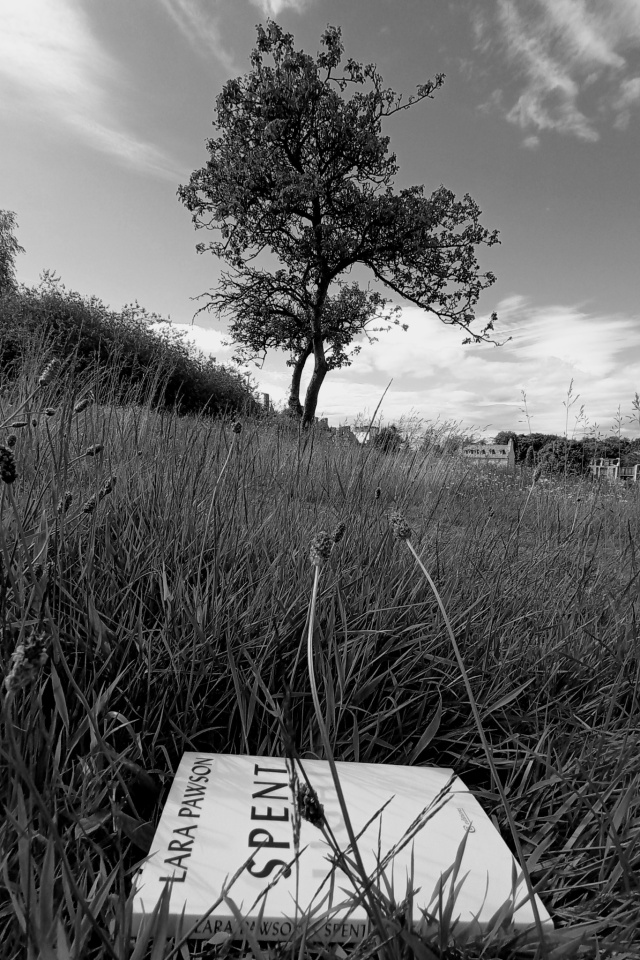 Ethos | middleman | Blipfoto