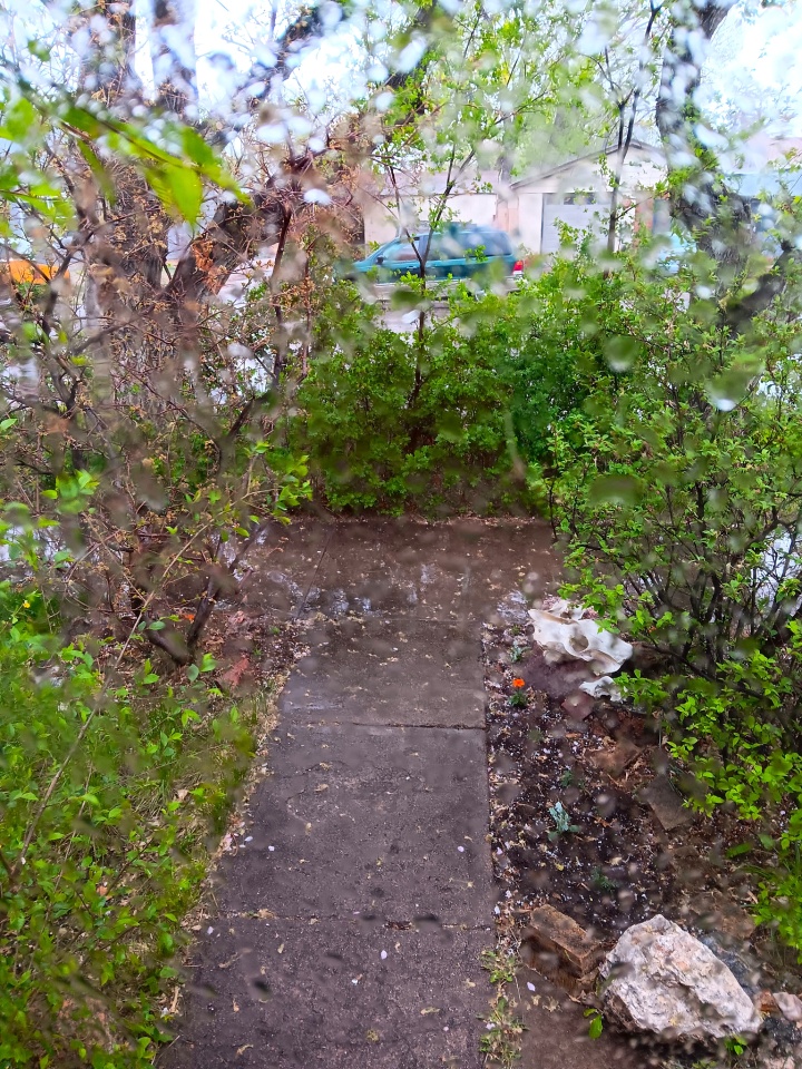 Wet | TiciaS | Blipfoto