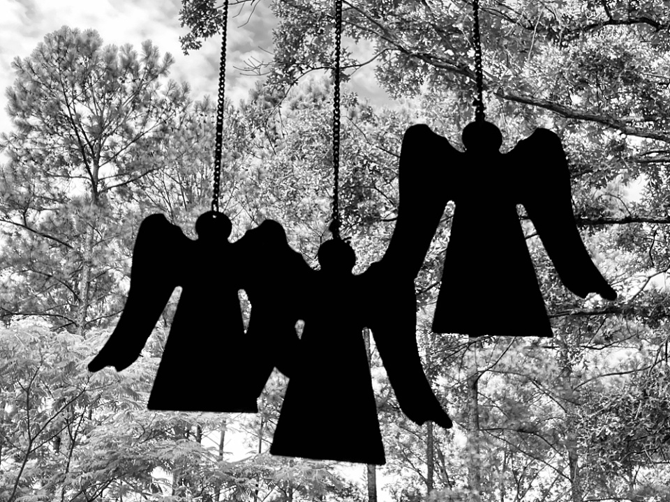 Hanging out | MaryElizaR | Blipfoto