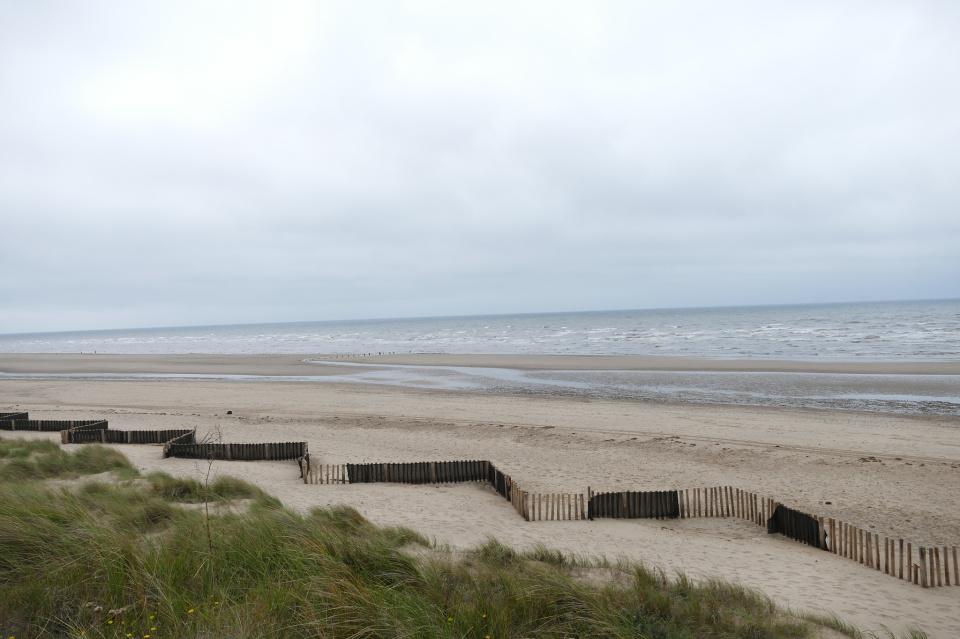 Holme Sand Dunes Walk | Wendmar | Blipfoto