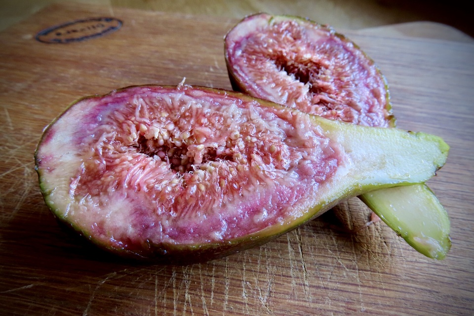 Success | Jaybay | Blipfoto