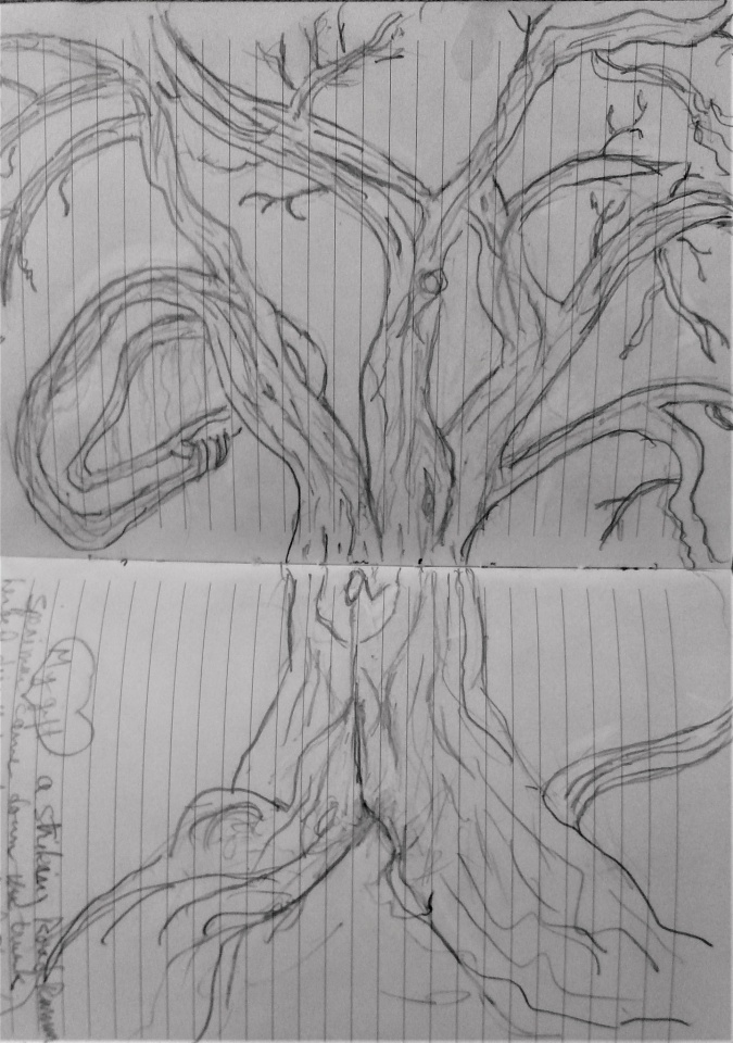 Tree…photo…blip…sketch…photo…blip… | MovableParts | Blipfoto