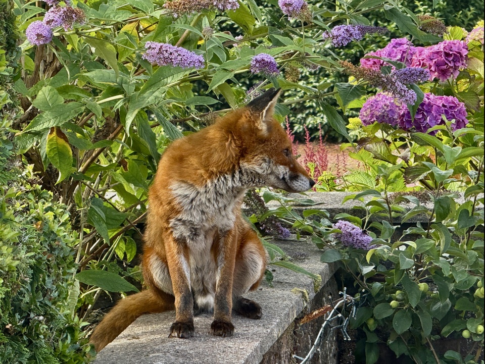 JACK. | Larchlea | Blipfoto