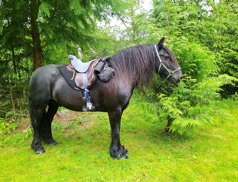 Adam, ready for the off! | Poppy | Blipfoto