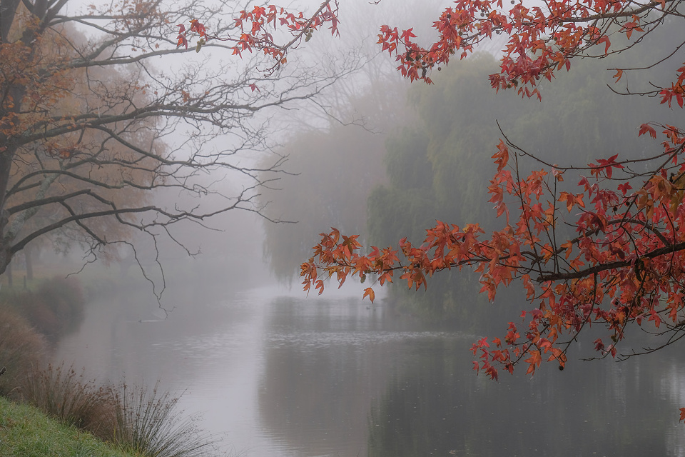 Foggy autumn day | mpp26 | Blipfoto