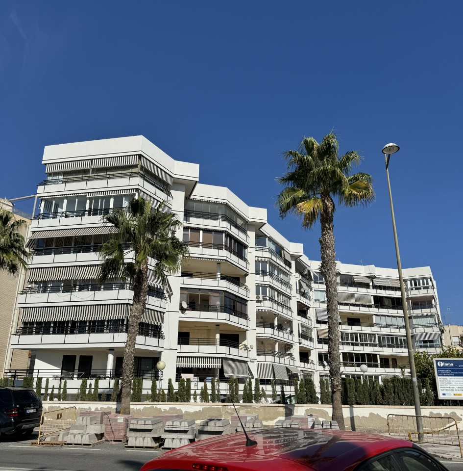 SANTA POLO SPAIN | sunflower | Blipfoto