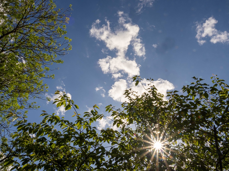 W-I-D-E on Wednesday: "Sun or Moon" | davidc | Blipfoto