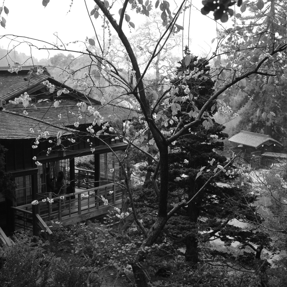 Sunday | nhc | Blipfoto