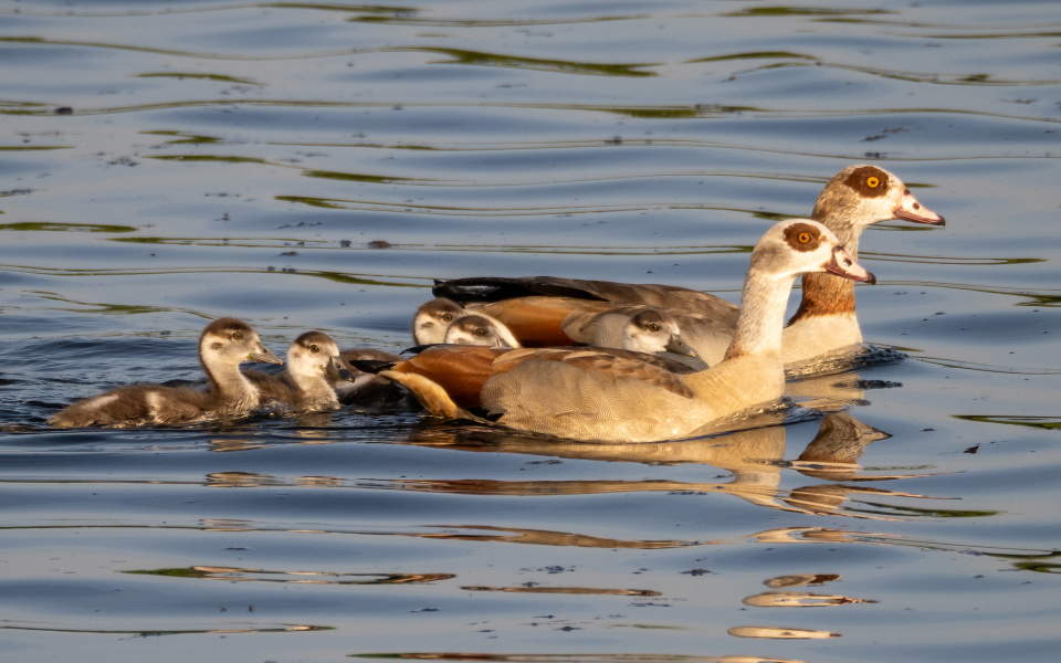 7, 6, 5..... | AH14 | Blipfoto