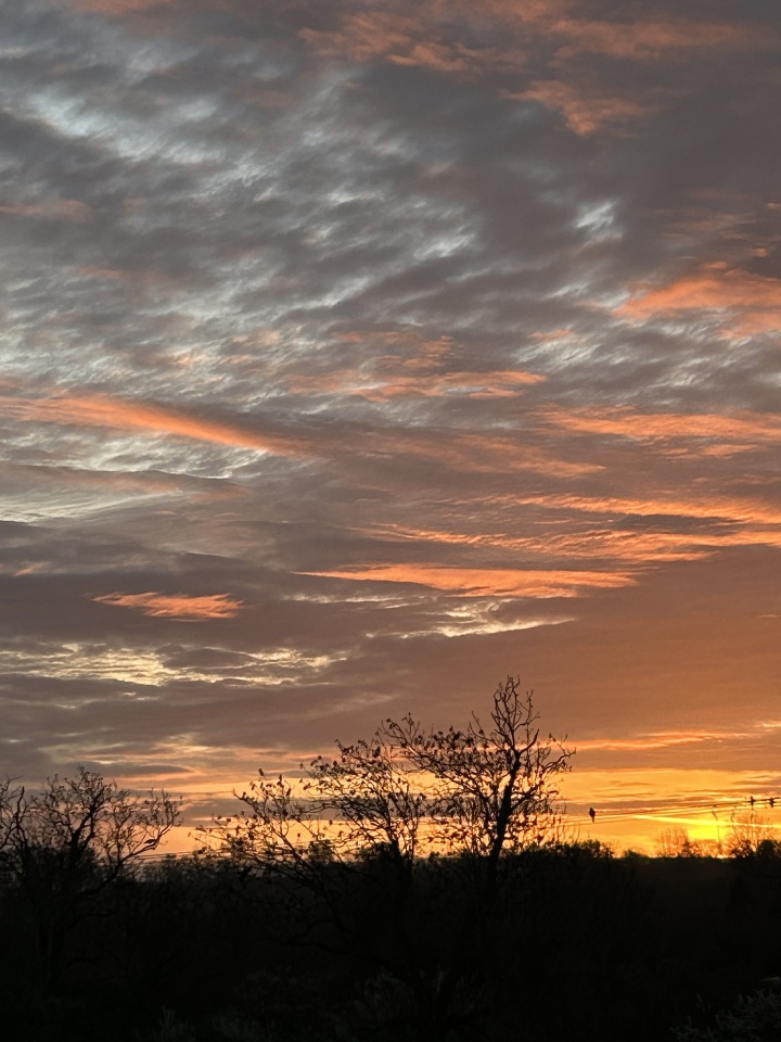 Sunrise | V985 | Blipfoto