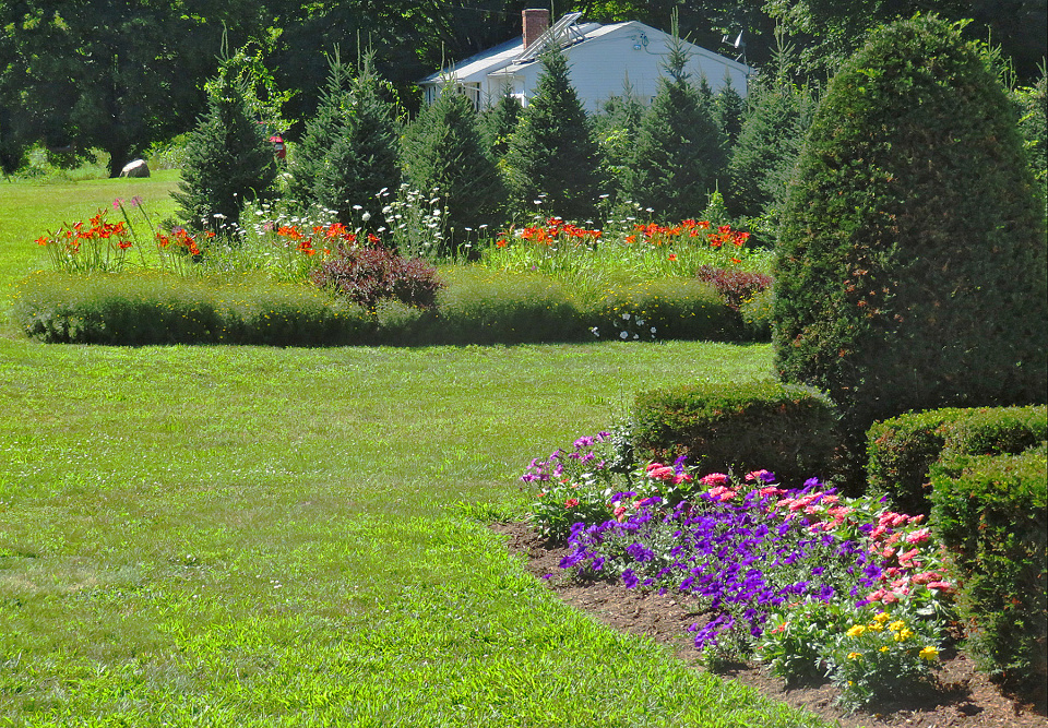 Flowers in Hadley ... | VandeGraaff | Blipfoto