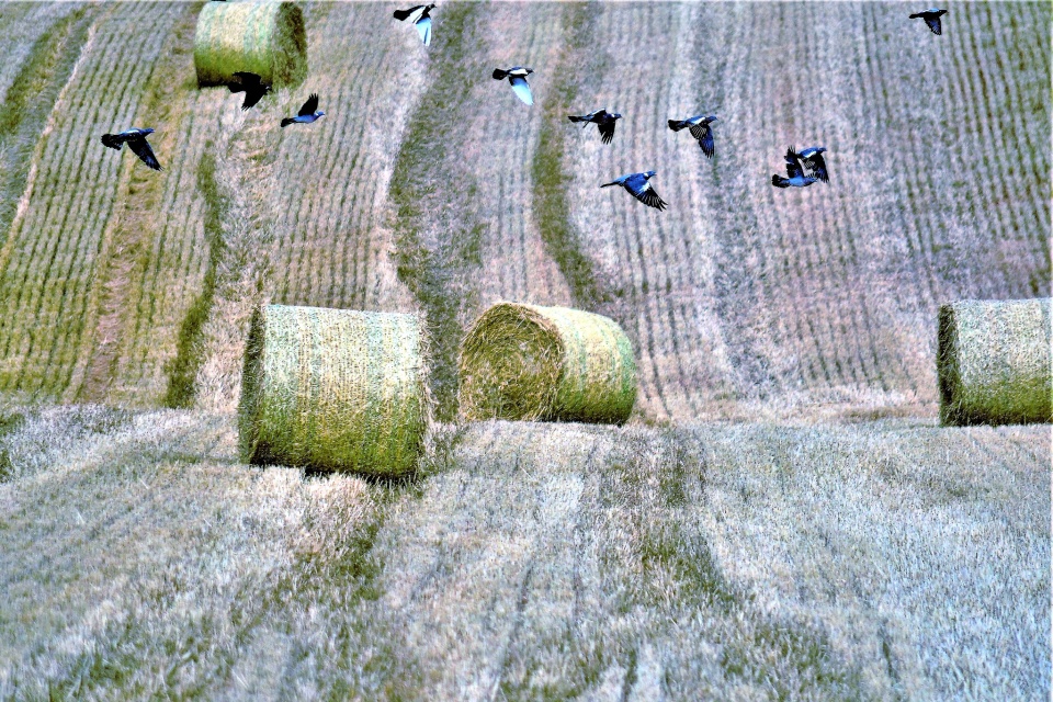 September Scene | BruceM | Blipfoto