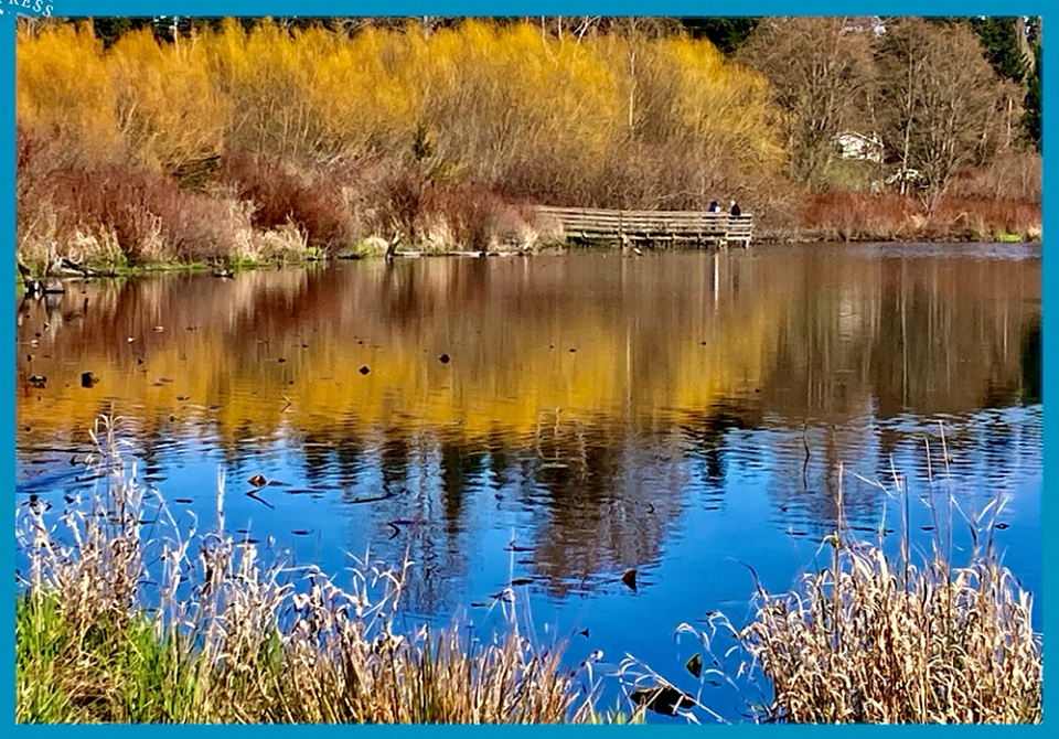 Larson/blueberry Lake | tookie | Blipfoto