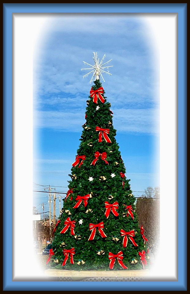 Oh, Christmas Tree.. | Grammy | Blipfoto