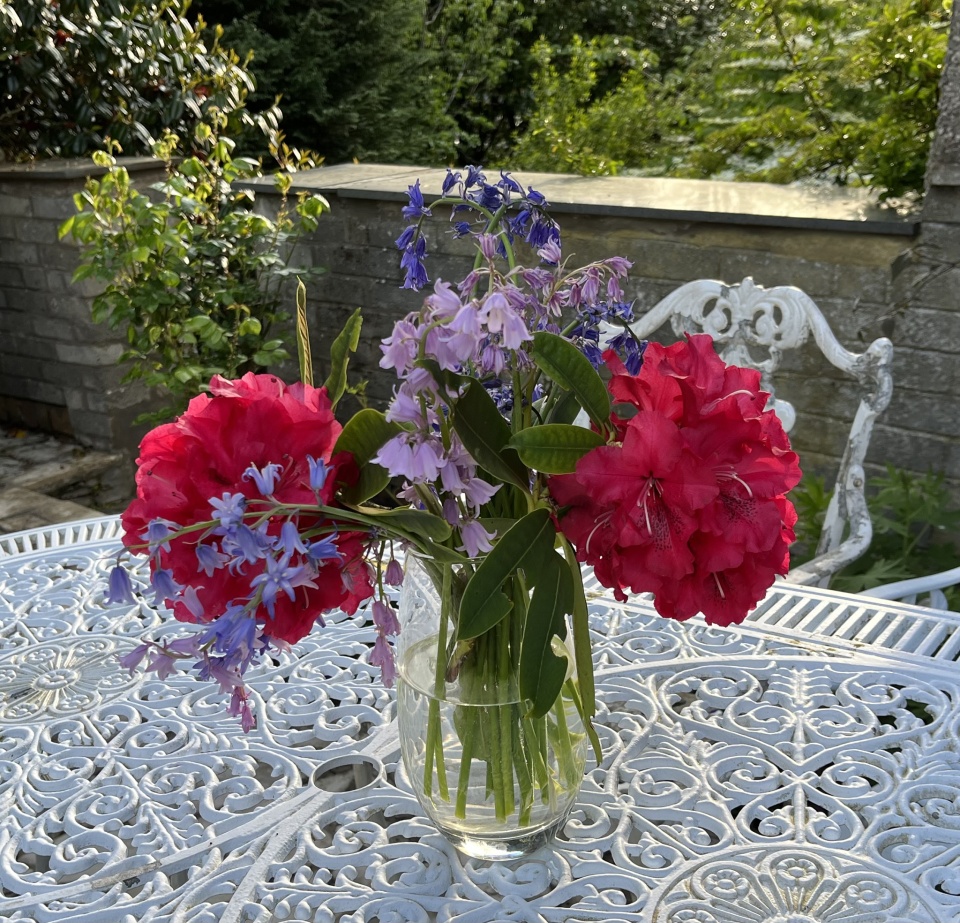 Evening light | Libra | Blipfoto