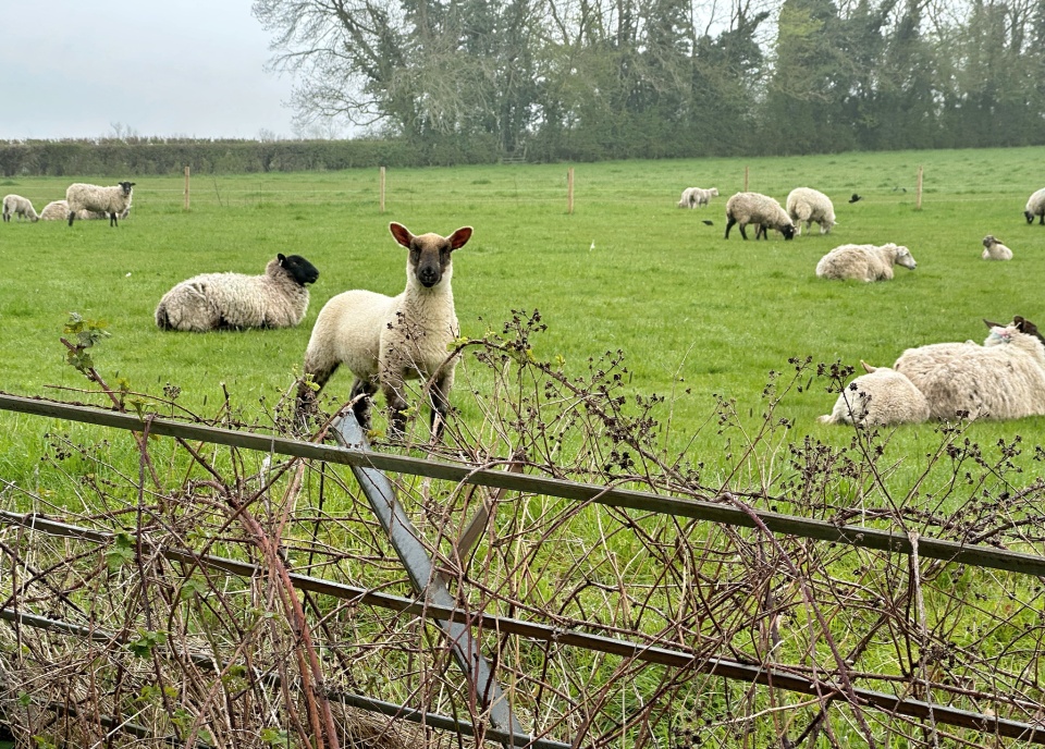 Curious | Technophobe | Blipfoto