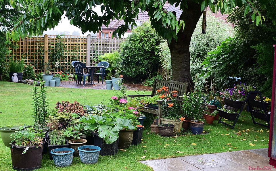 Many .......... | BikerBear | Blipfoto