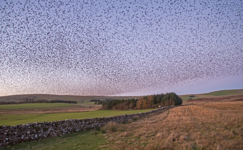 Skyfull | gladders | Blipfoto