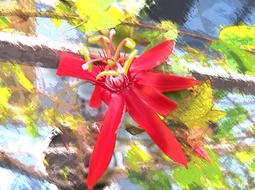 divine shine | LauriesPictos | Blipfoto