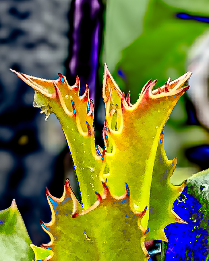 'Buddy Holly' | Chris_P | Blipfoto