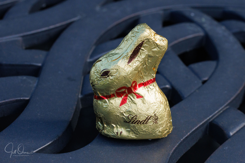 Easter Bunny hunt | JDO | Blipfoto