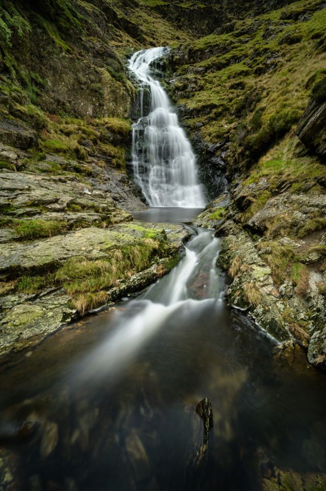 Moss Force | JohnGravett | Blipfoto