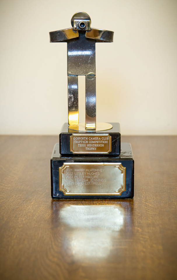 A Fun Trophy! | davidc | Blipfoto