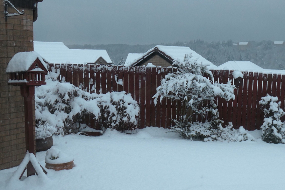 Winter wonderland | shortygirl | Blipfoto